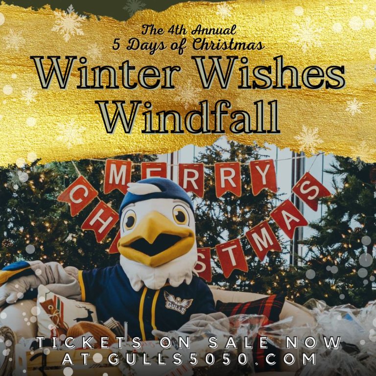 Gulls Christmas Raffle is now LIVE - Sylvan Lake Gulls